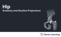 Hip: Anatomy & Routine Projections | Video Lesson | Clover Learning