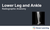 Ankle & Lower Leg: Radiographic Anatomy | Video Lesson | Clover Learning