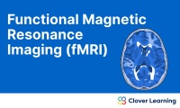 Functional Magnetic Resonance Imaging (fMRI) | Video Lesson | Clover ...